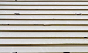 Common Home Siding Problems and How To Fix Them - DiGiorgi Roofing & Siding