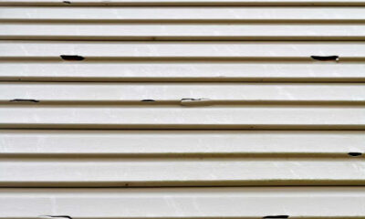 Common Home Siding Problems and How To Fix Them - DiGiorgi Roofing & Siding